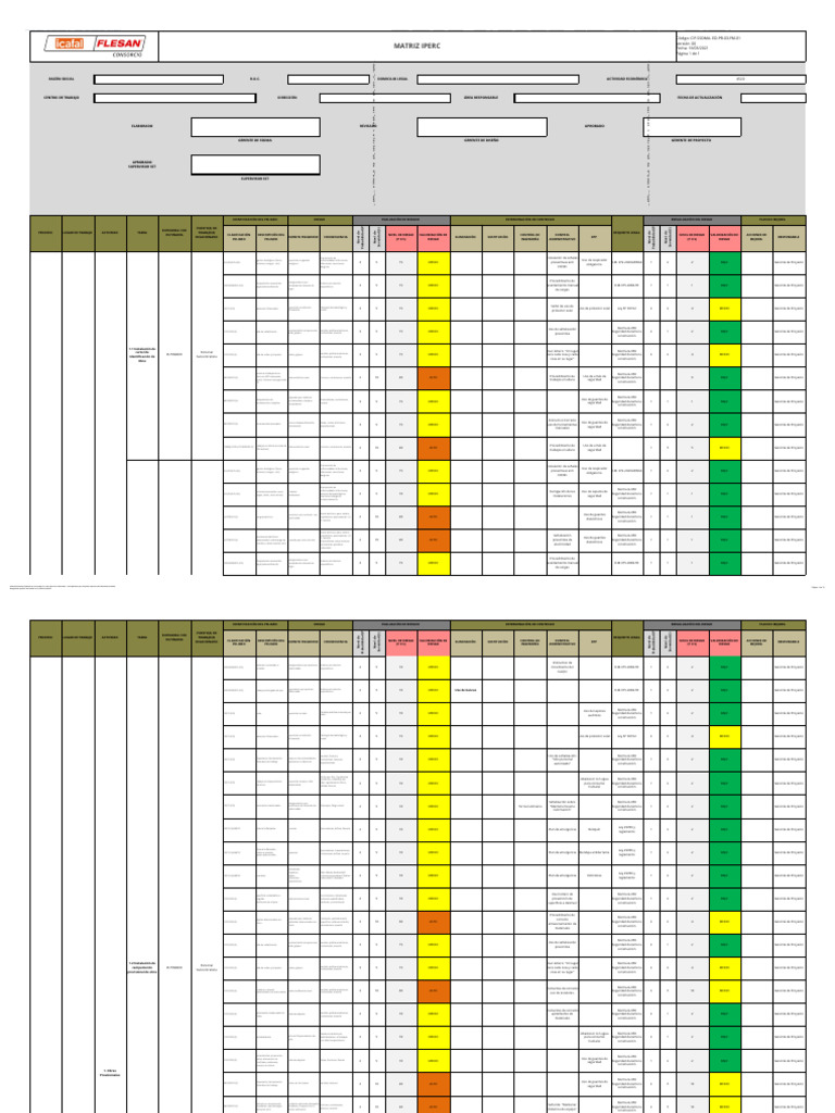 Modelo de IPERC | PDF | Especialidades Medicas | Cuidado de la salud