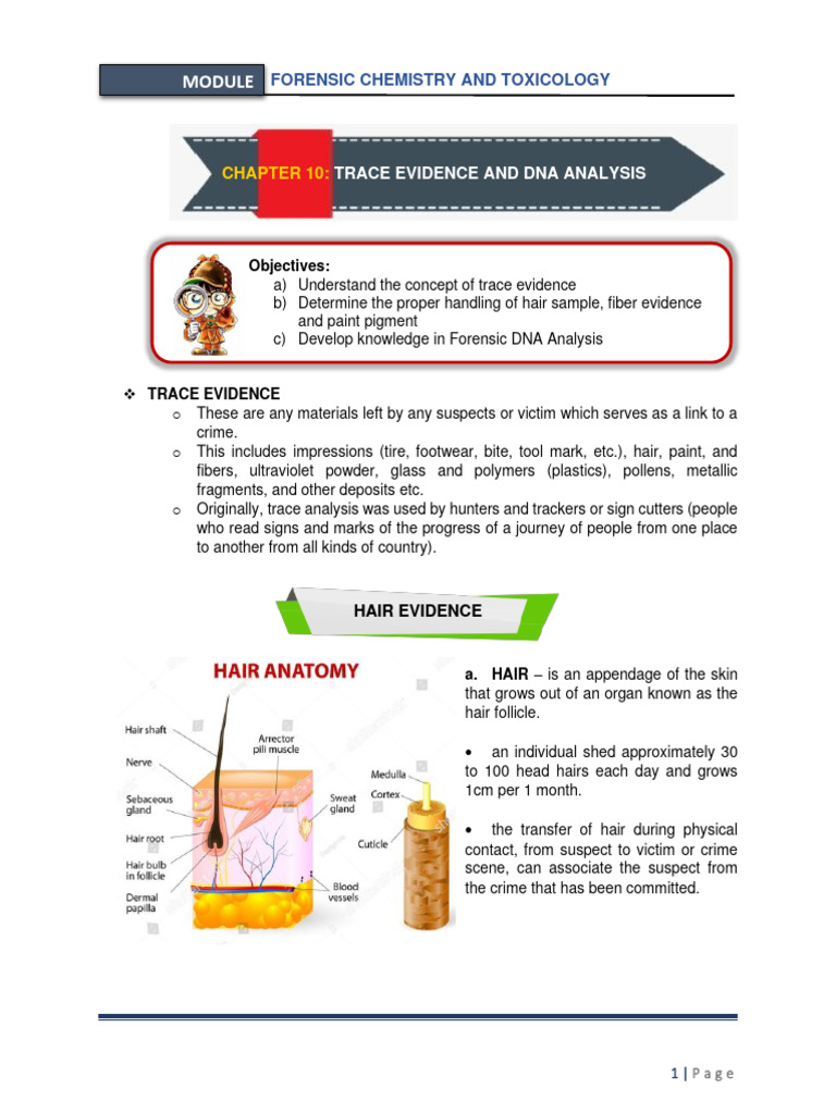 Chapter 10 Trace Evidence and Dna Analysis | Download Free PDF | Electromagnetic Radiation | Paint