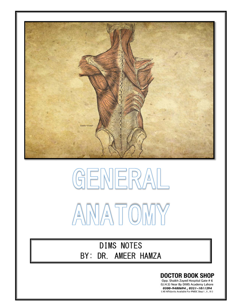 GEN. ANATOMY | PDF