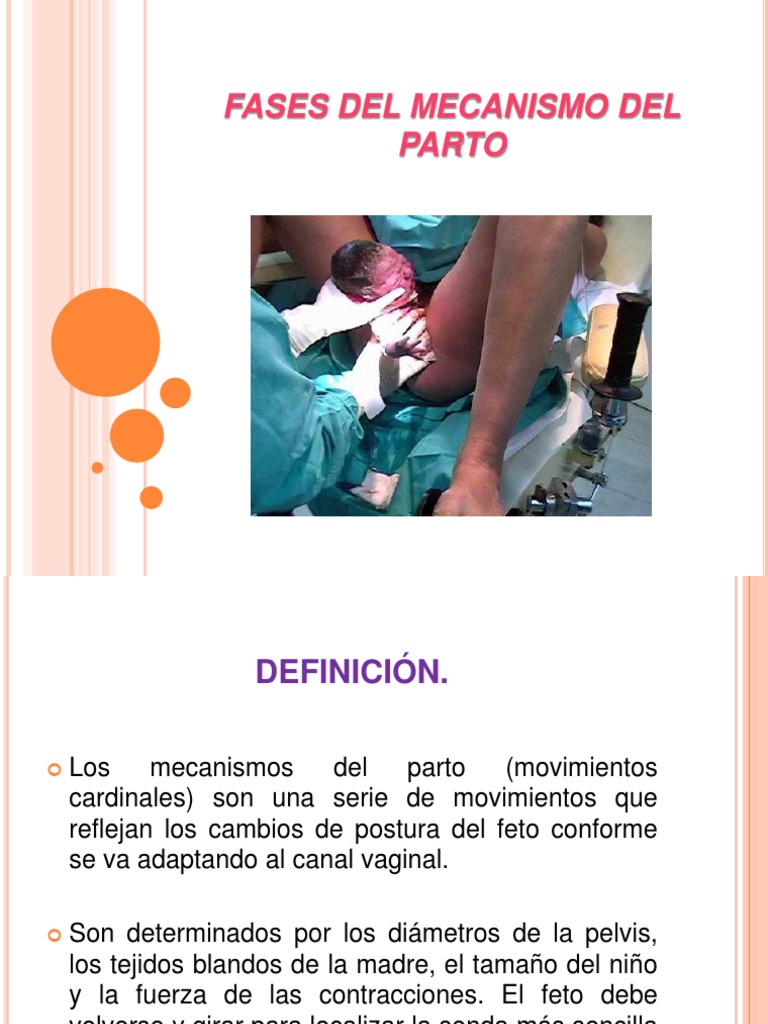 Fases Del Mecanismo Del Parto | PDF | Parto | Pelvis