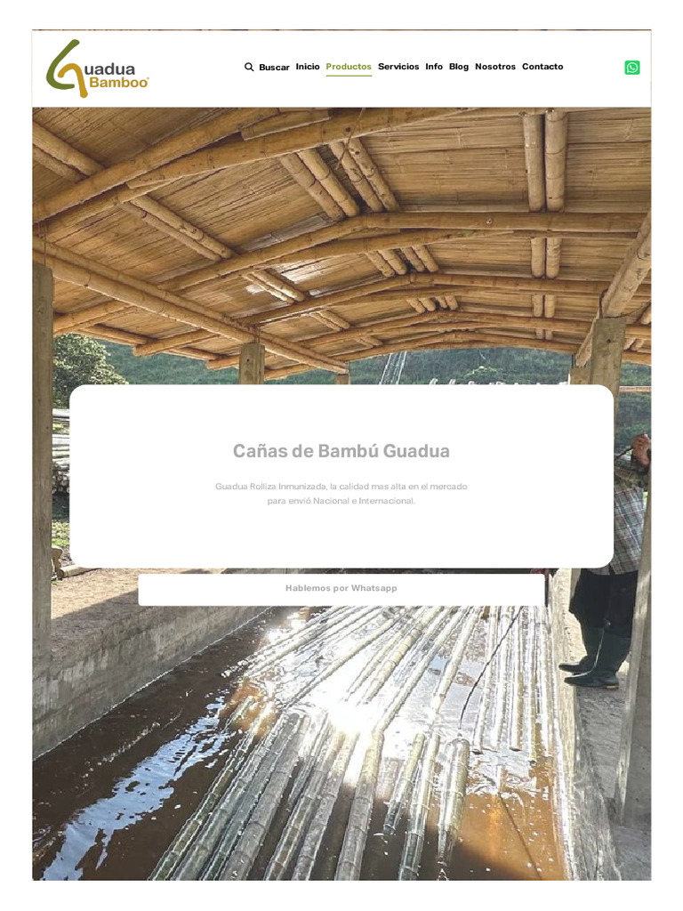 Ficha Tecnica - Cañas de Bambú Guadua Rolliza Inmunizada - Removed | PDF