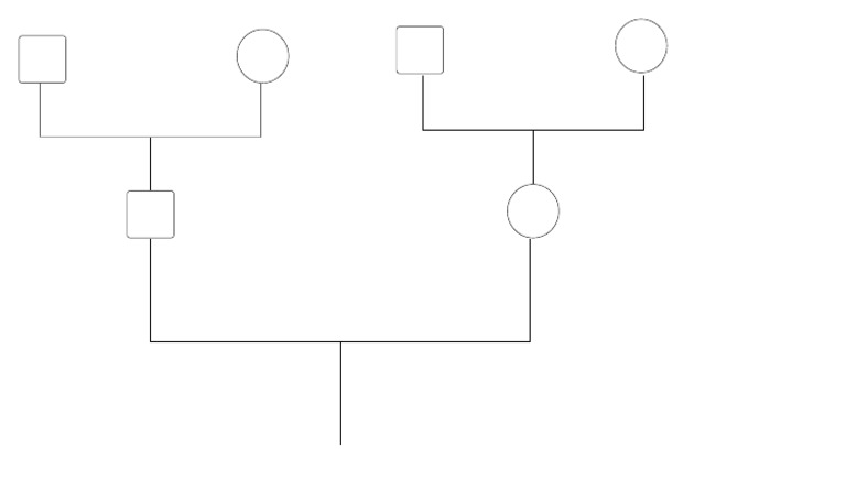 Mapa Genético | PDF