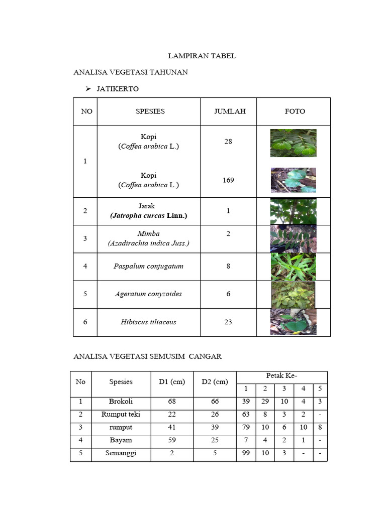 Lampiran Tabel | PDF