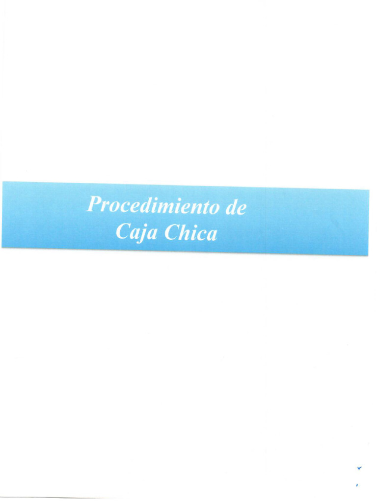 1 Procedimiento de Caja Chica | PDF 1 Procedimiento de Caja Chica | PDF