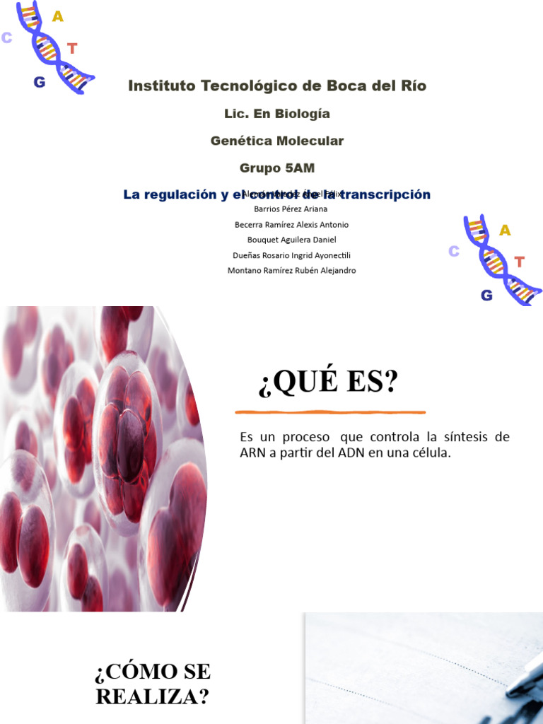La Regulación y El Control de La Transcripción | PDF | Factor de transcripcion | Promotor (Genética)