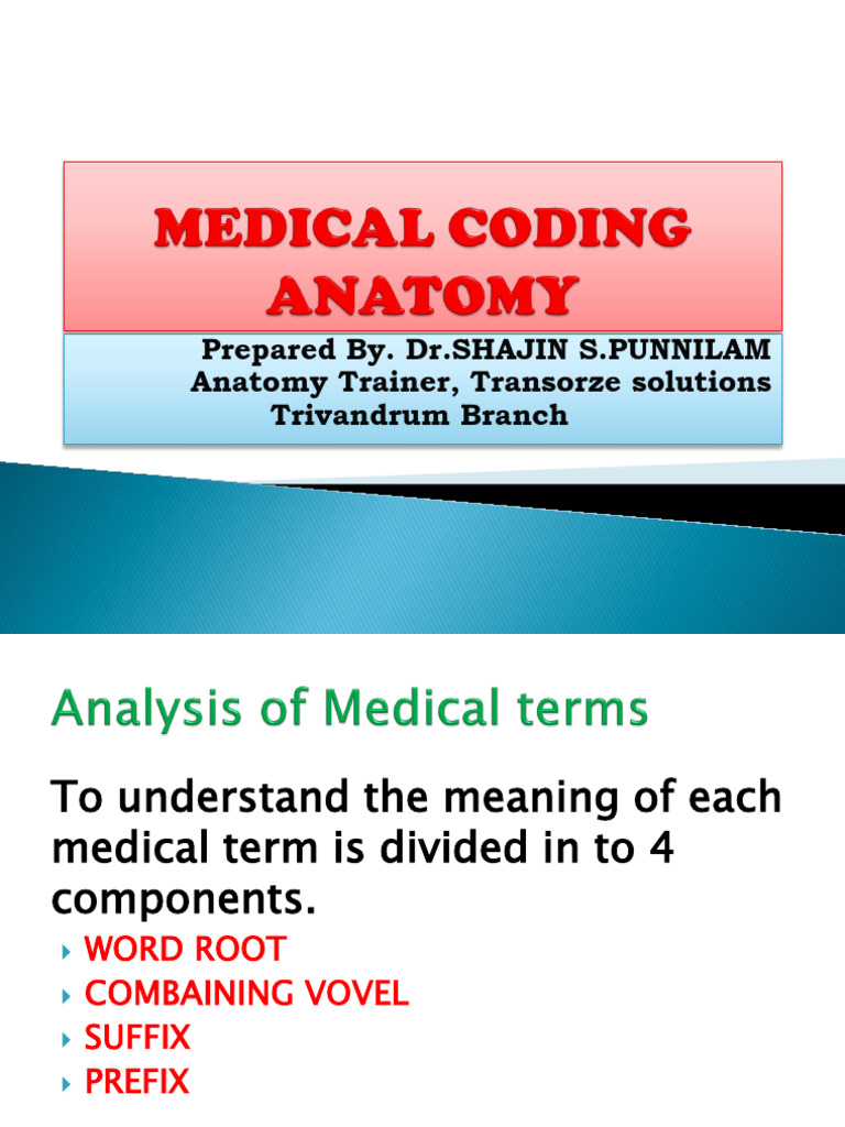 Anatomy Terminology Notes | PDF | Atherosclerosis | Endocrine System