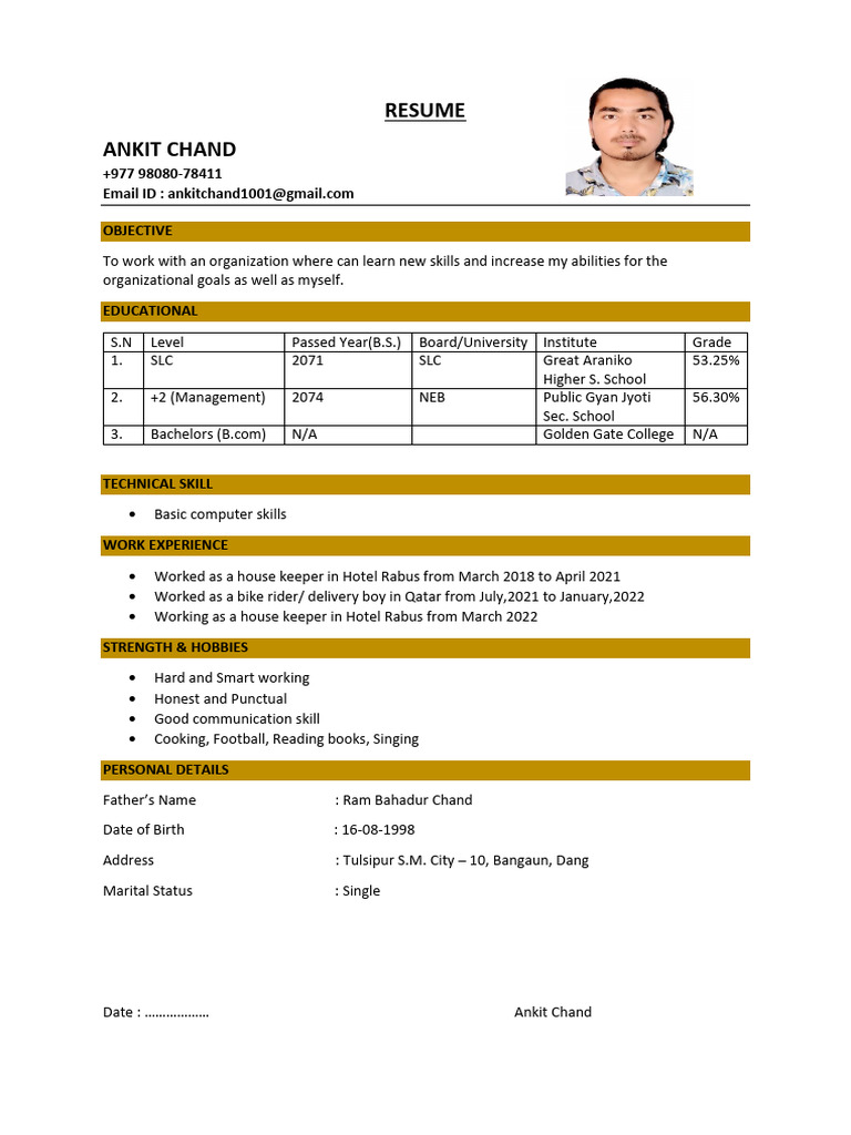 Ankit Chand Resume Overview | PDF
