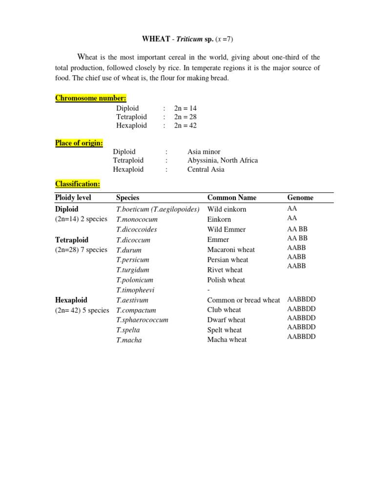 Wheat-notes | PDF | Wheat | Cereals