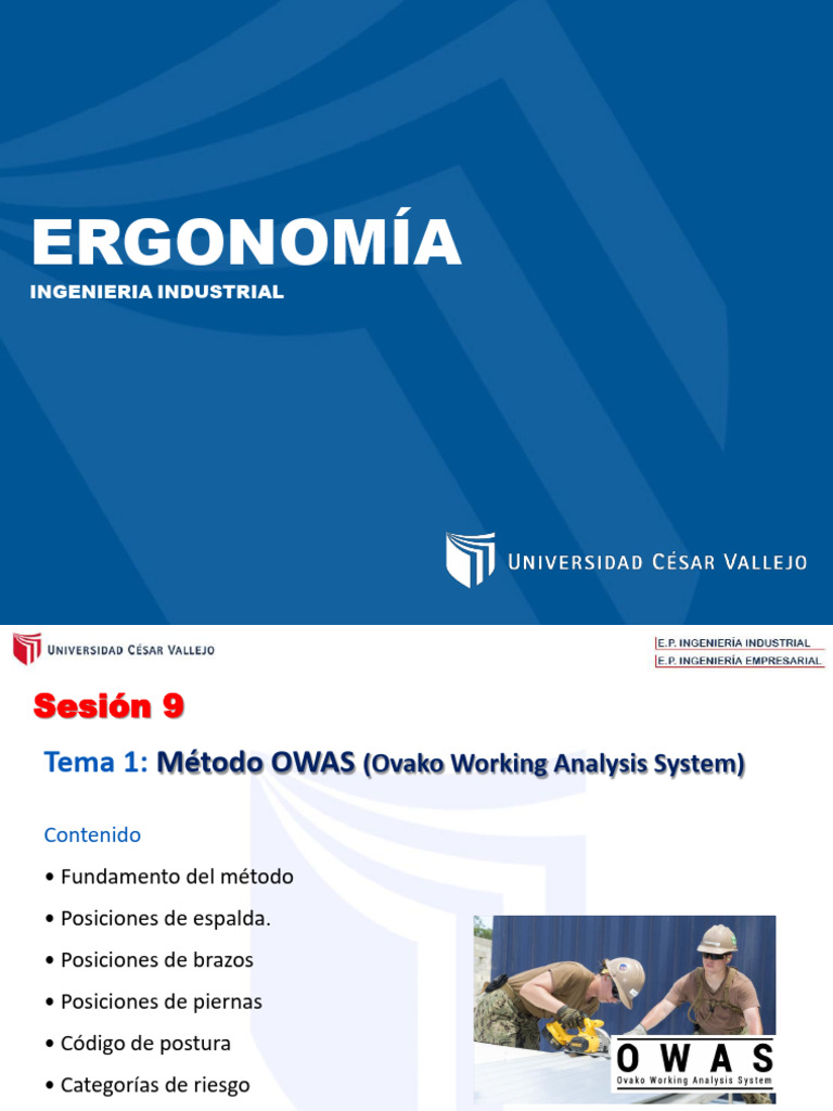 Análisis Ergonómico: Métodos OWAS y NIOSH | PDF | Factores humanos y ...