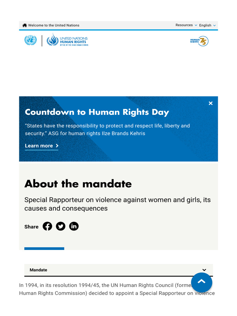About The Mandate - OHCHR | PDF | Human Rights | Violence Against Women