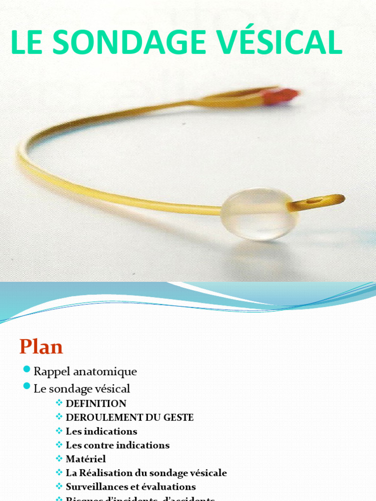 Sondage Vésical | PDF | Prostate | Sciences de la santé