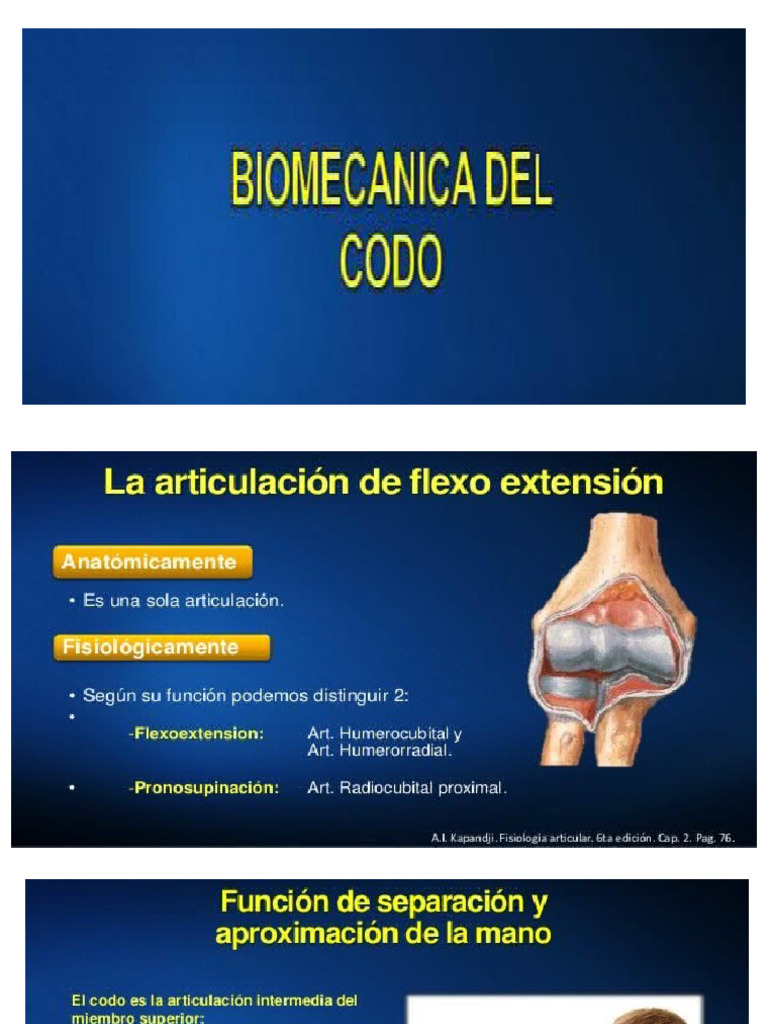 Biomecanica Del Codo Pdf