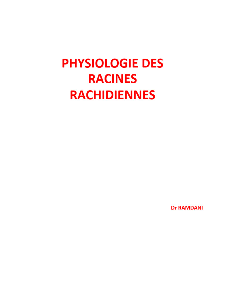 2emephysiologie Des Racines Rachidiennes | PDF
