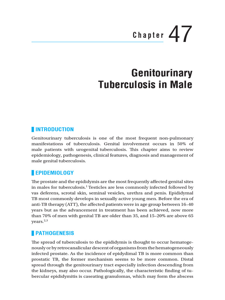 Chapter-47 - Genitourinary Tuberculosis in Male | PDF | Tuberculosis | Prostate