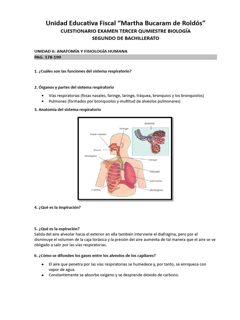 Temario Biologia 2do Bachillerato 3r Trimestre Pdf Sistema