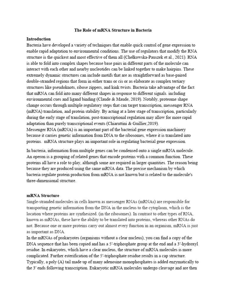 The Role of MRNA Structure in Bacteria | PDF | Messenger Rna | Rna
