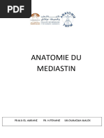 Anatomie et divisions du médiastin | PDF | Aorte | Thymus (anatomie)