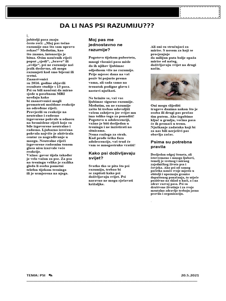 Novinski Članak Informatika | PDF