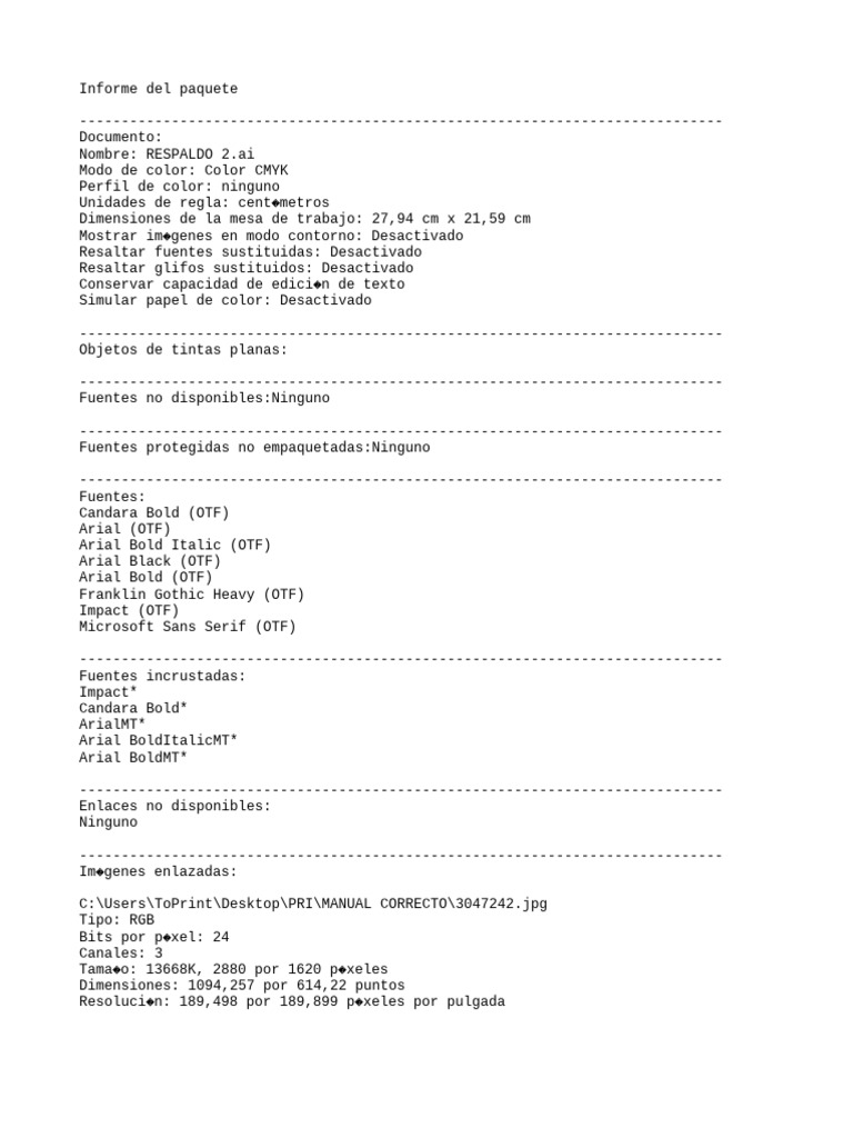 RESPALDO 2 Informe | PDF