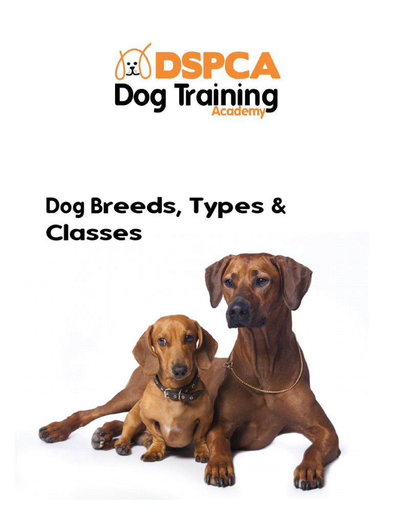 Eeds Module | PDF | Dog Breeds | Herding Dogs