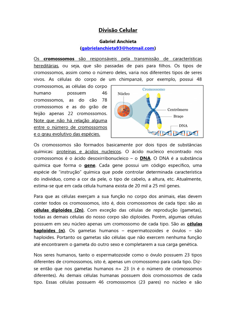 Divisão Celular | PDF | Meiose | Mitose