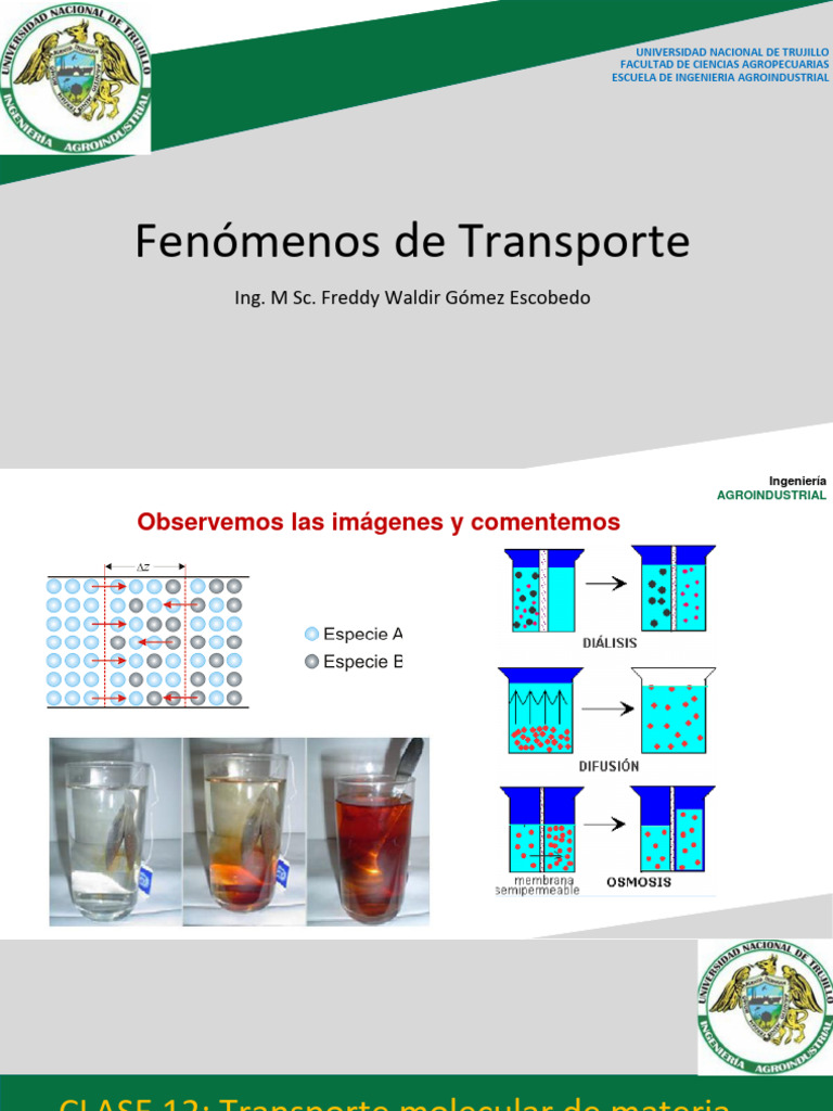 III Unidad - Fenomenos | PDF | Difusión | Convección III Unidad - Fenomenos | PDF | Difusión | Convección