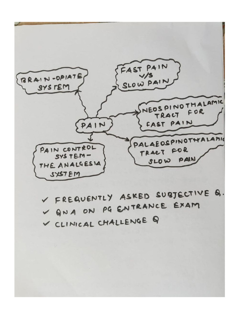 Pain | PDF