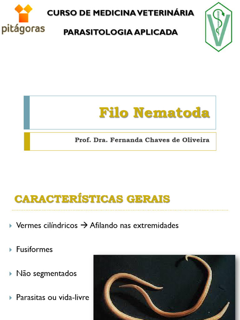Ciclo de Strongylus vulgaris | PDF | Especialidades médicas | Anatomia