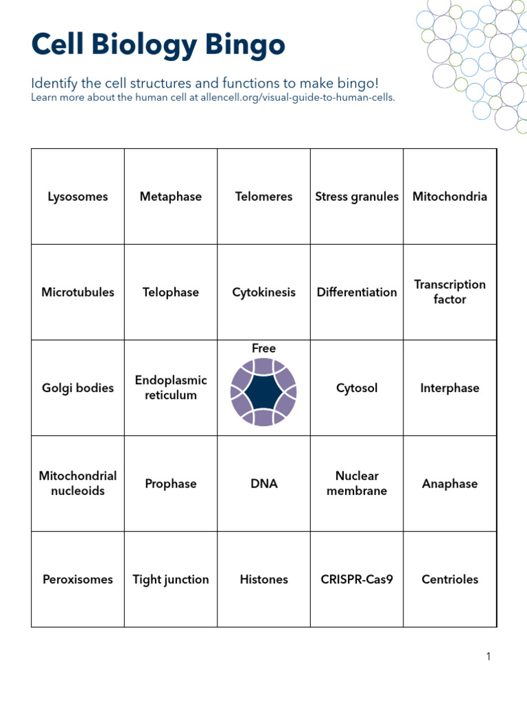 Cell Bingo Cards 1 | PDF