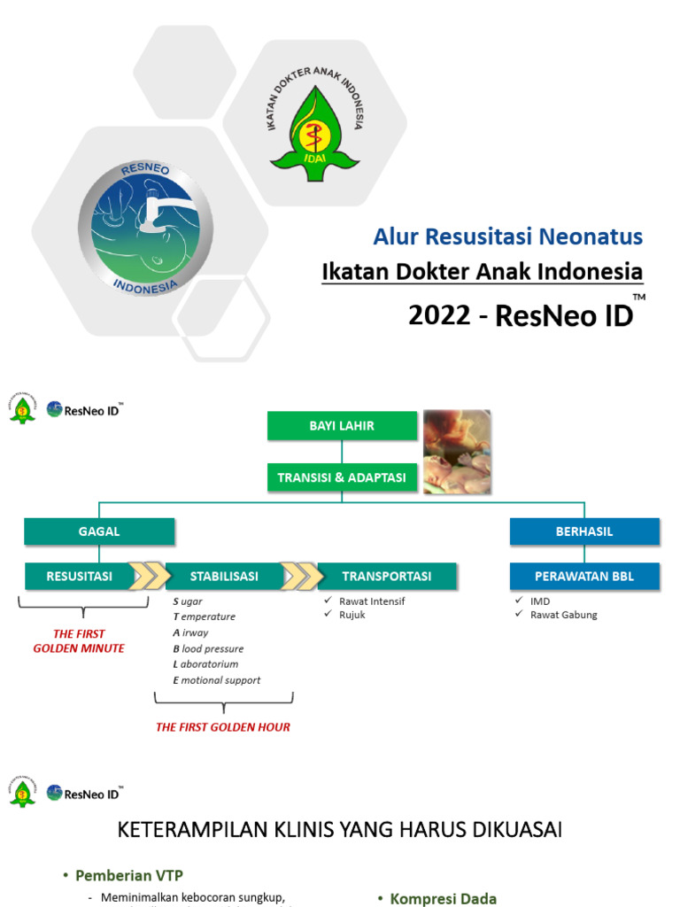 Sosialisasi Alur Resneo - Umum | PDF