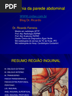 Anatomia da Região Inguinal e Canal Inguinal | PDF | Testículo | Anatomia