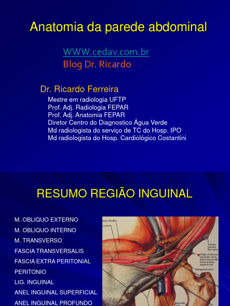 Anat Da Parede Abd Set 2016 | Download grátis PDF | Morfologia ...