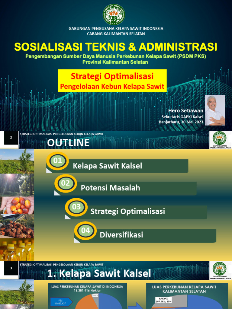 Strategi Optimalisasi | PDF