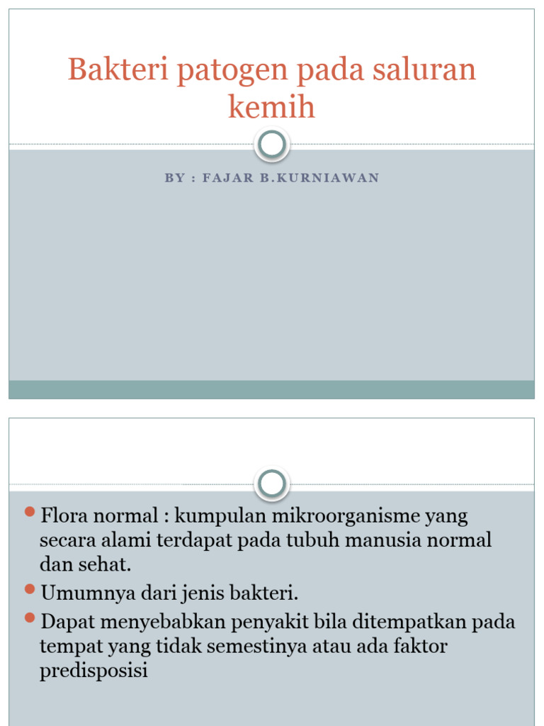 Bakteri Patogen Pada Saluran Kemih | PDF