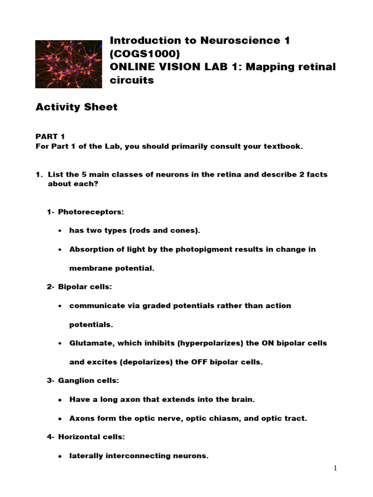 Retinal Neuron Mapping Lab Guide | PDF | Retina | Vision