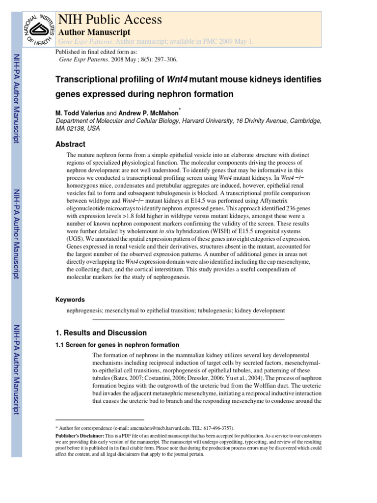 Valerius 2008 Transcriptional Profiling of Wnt4 Mutant Mouse Kidneys ...
