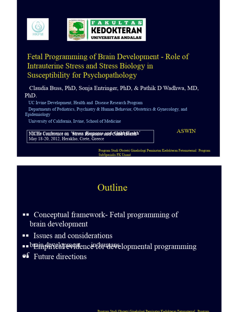 Brain PPT Fetal Programming Aswin | PDF | Cell Signaling | Cortisol