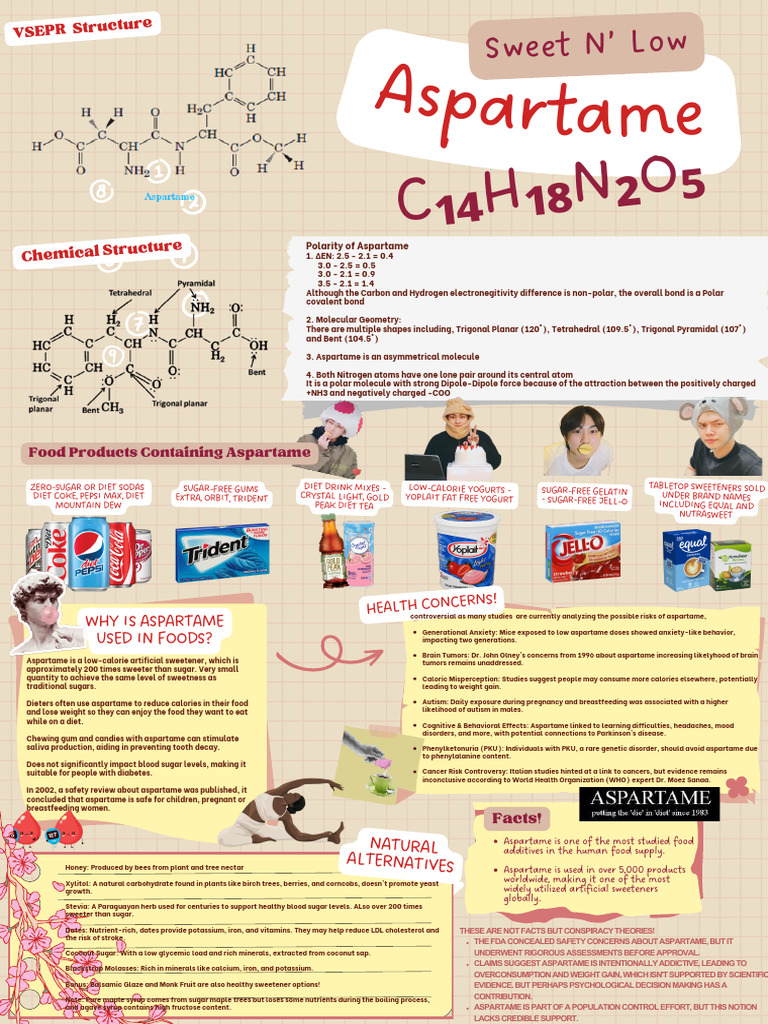 Parts of The Human Circulatory System Science Poster in Light Brown ...