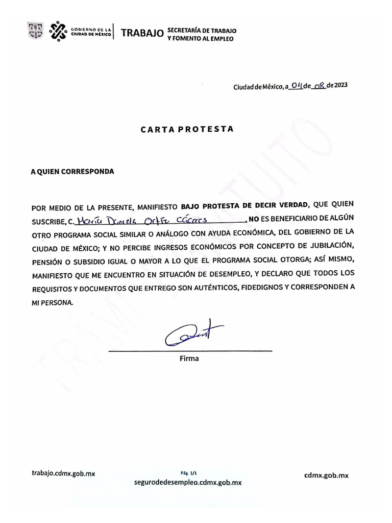 Carta Protesta | PDF