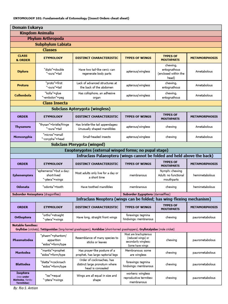 Insect Orders Cheat Sheet | PDF