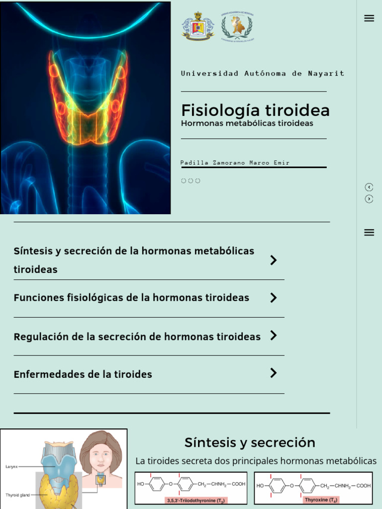 Presentación Fisiología Tiroidea | PDF | Tiroides | Hormona