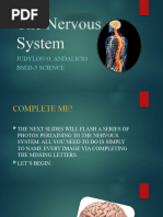 Coordination and Response - IGCSE Biology Notes (2020) | PDF | Synapse ...