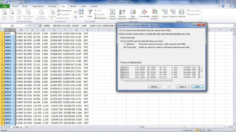 Raw Data and Excel | PDF