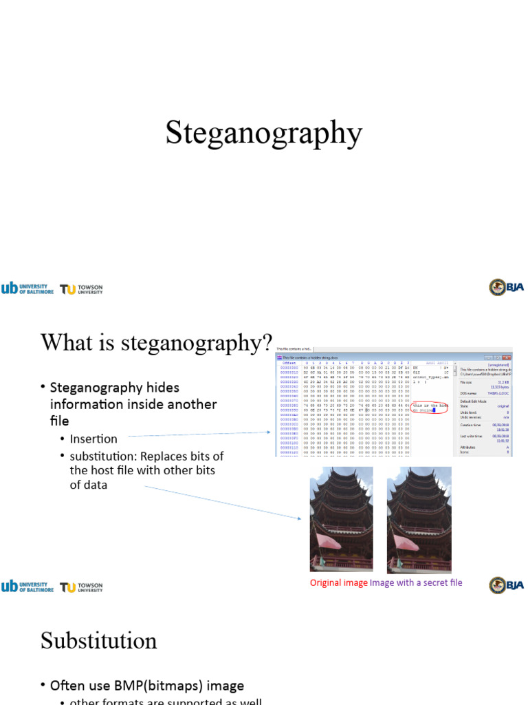10 Steganography | PDF
