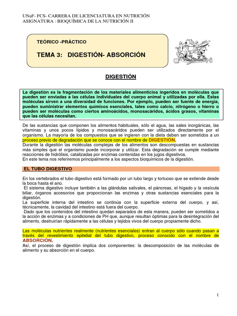 Digestión y Absorción Nutricional | PDF | Digestión | Bilis