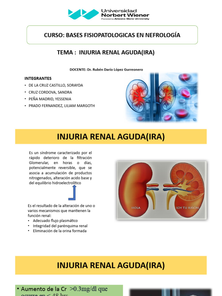 GRUPO F. Tarea Grupal 6 INJURIA RENAL AGUDA COMPLETO | PDF | Riñón | Especialidades Medicas