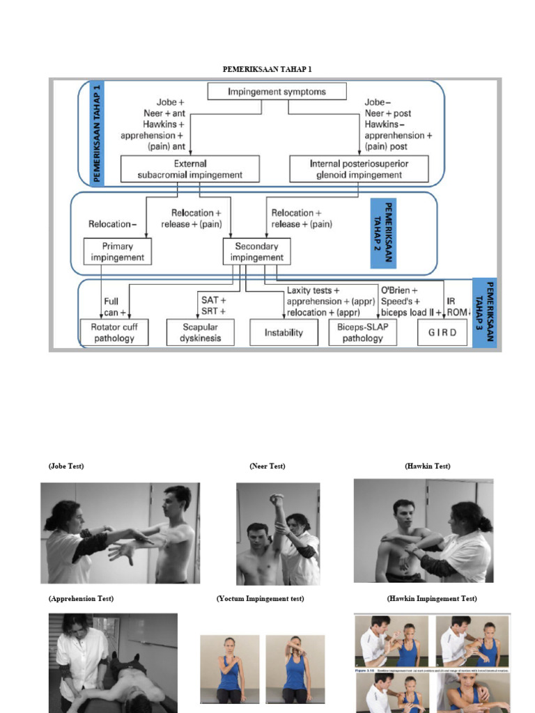 Comprehensive Shoulder Exam Guide | PDF