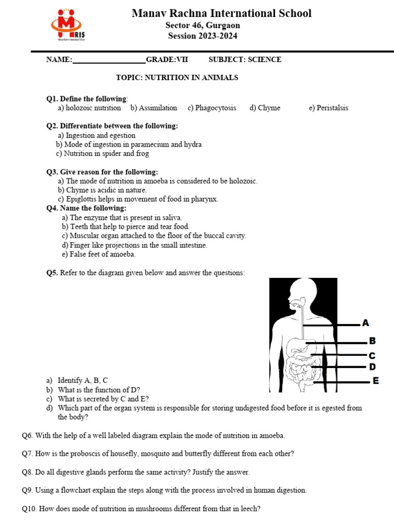G7 - Nutrition in Animals - Worksheet 23-24 | PDF