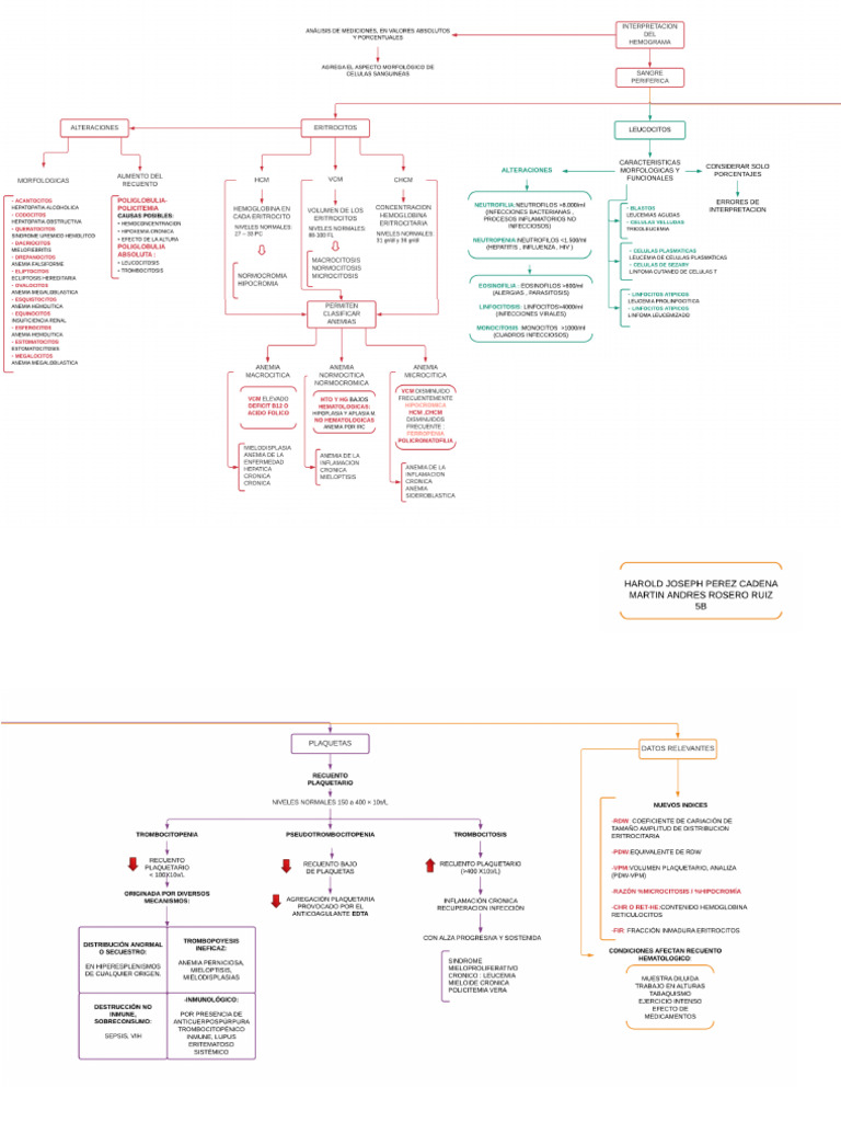 Mapa Conceptual Laboratorio | PDF