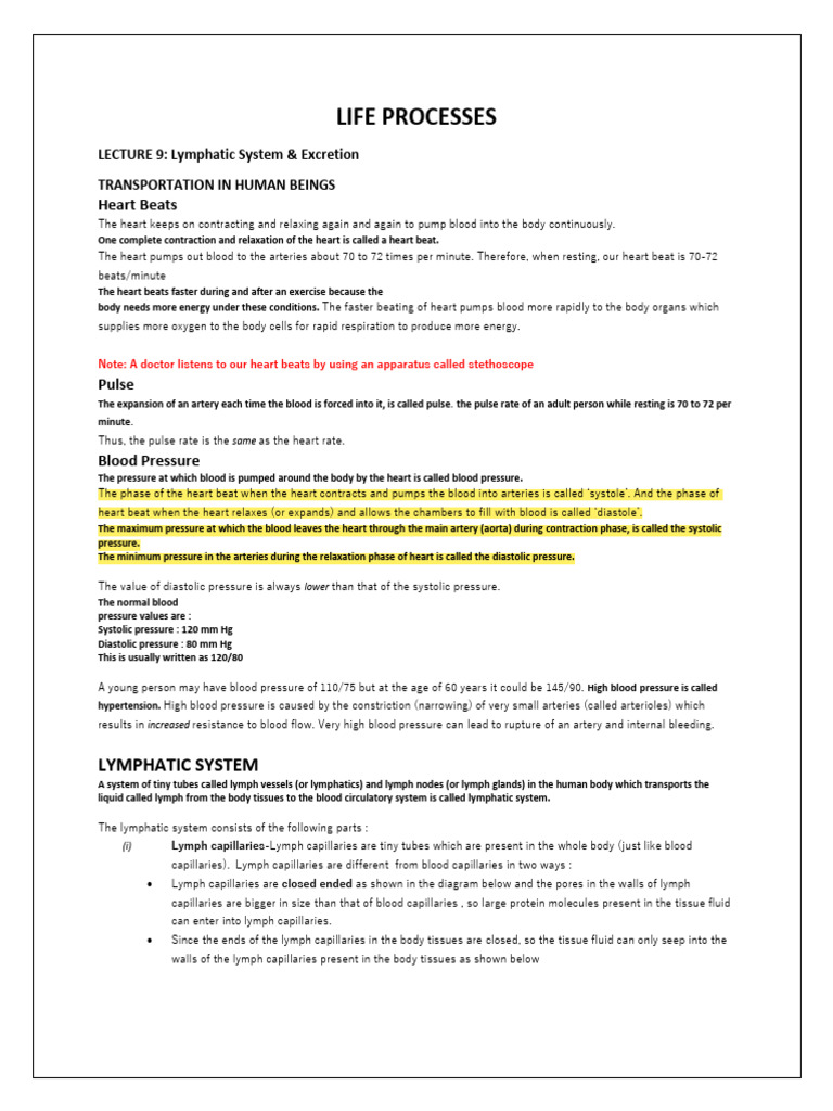 LIFE PROCESSES-Lecture 9 Excretion | PDF